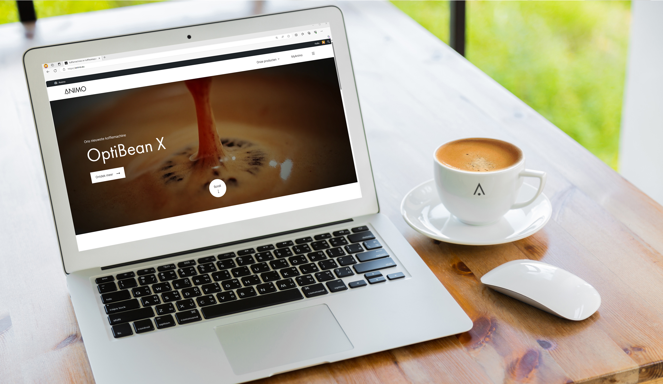 Animo launches new website